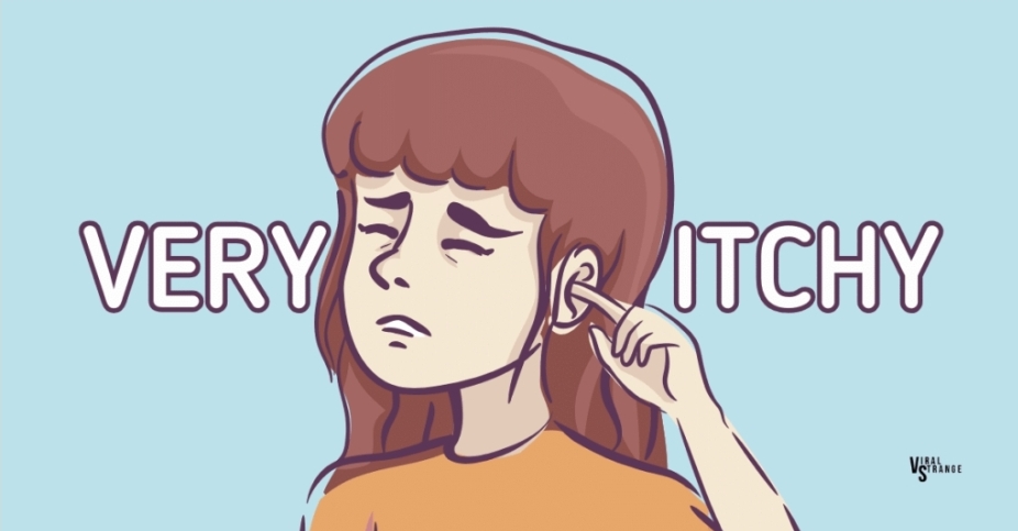 Signs and Prevention Tips for a Adult Ear Infections – 26buzz.com